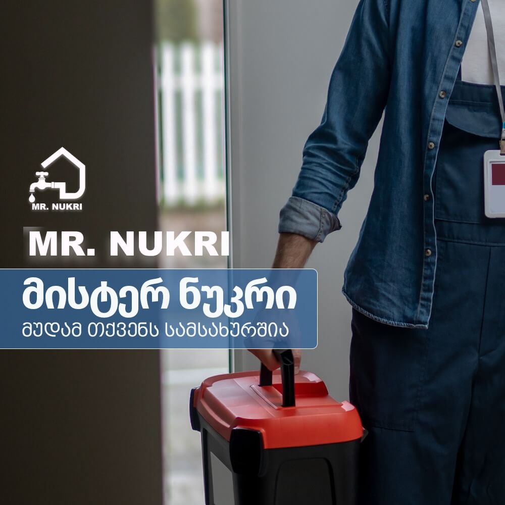 მისტერ ნუკრი • Mr. Nukri - InfoNet.Ge